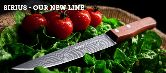 Felix Solingen | Der Onlineshop für hochwertige Schneidwaren aus Solingen